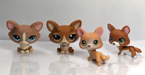 Lot PETSHOP LPS CHIEN CORGI 183-897-1864-3567 ref 21 | eBay