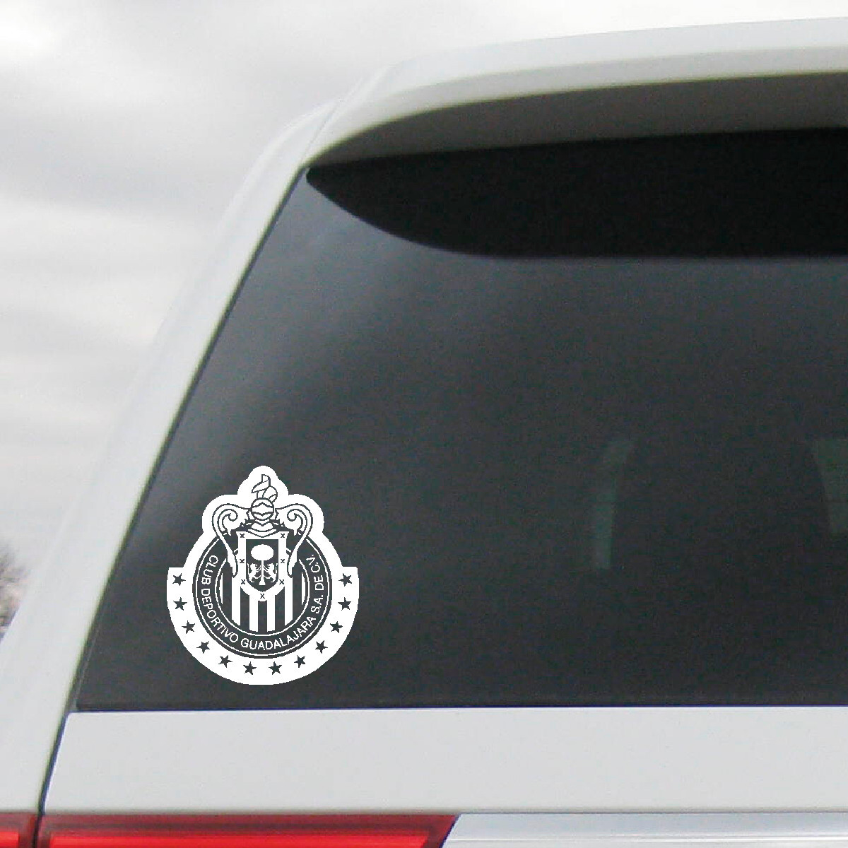 DECAL FOR CHIVAS CLUB DEPORTIVO GAUDALAJARA VINYL STICKER CAR TRUCK ...
