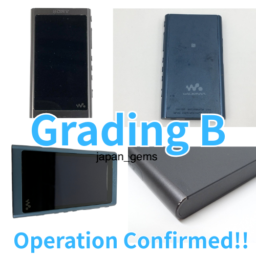 Sony NW-A55 Walkman Digital Audio Player Music MP3 5 color English ...