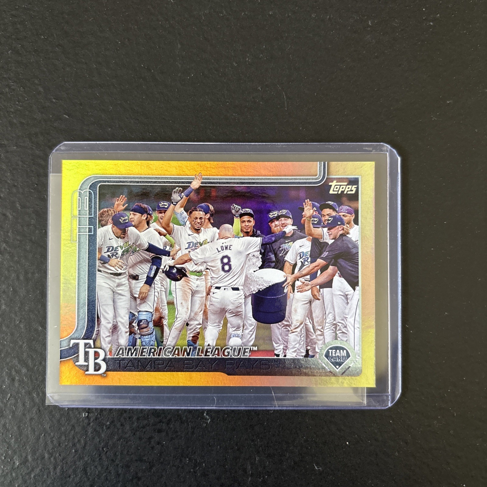 2025 Topps Series 1 Tampa Bay Rays Team Card #294 Gold Foil /50 | eBay