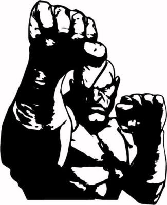 Sagot Street Fighter decal sticker for car/truck laptop window custom ...
