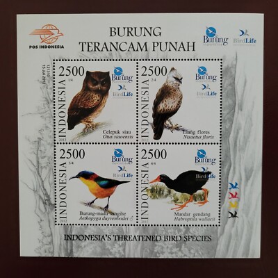 Indonesia 2012/ Indonesia's Threatened Bird Species - invisible rail ...