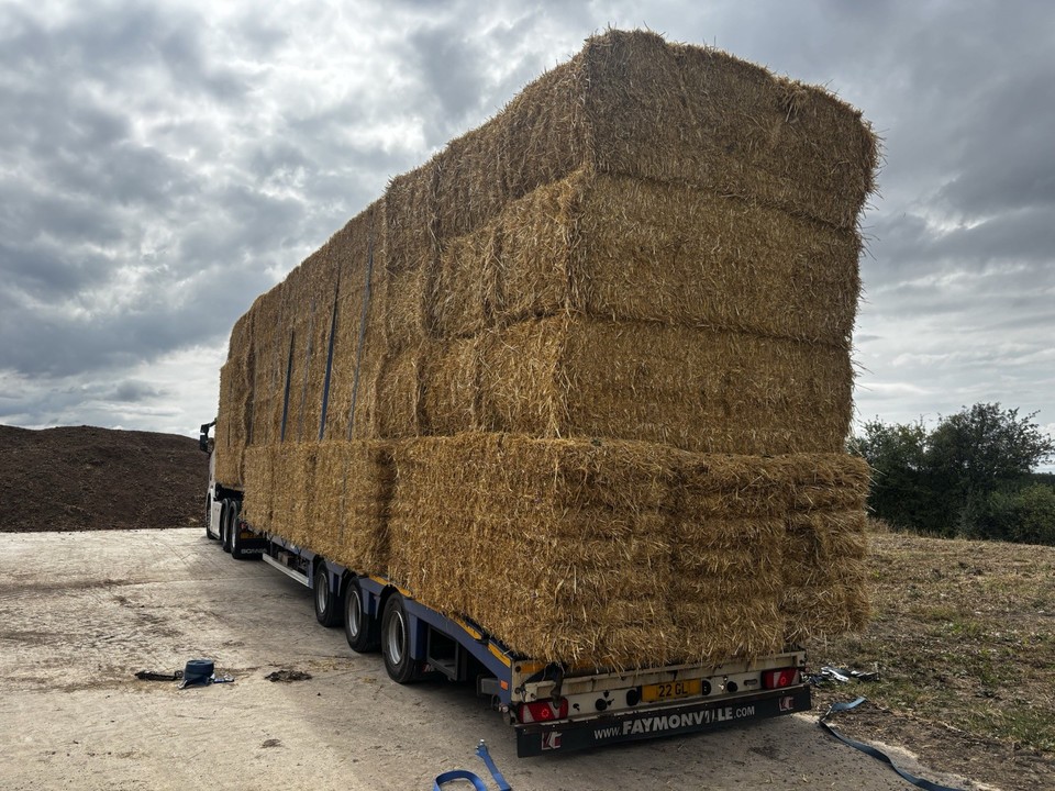 2025 Straw Bales🌾Barley & Wheat🌾Square Bales 120x90, Animal Bedding ...
