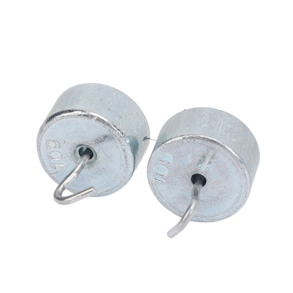 2pcs 10g Lab Hook Weight Double Hooked Weight With Case | eBay UK
