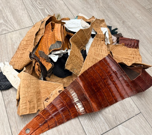 Crocodile Scraps Remnants Piece Hide Leather Skin Scrap Gator Croc ...