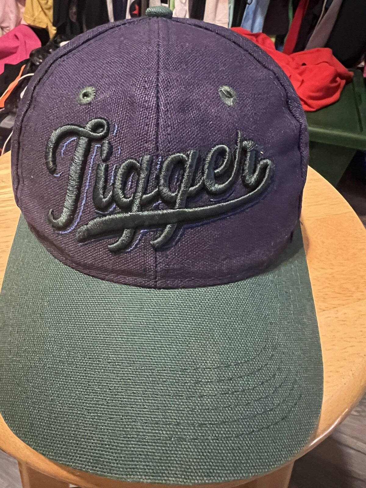 Vintage Tiger Disney SnapBack Hat - Gem