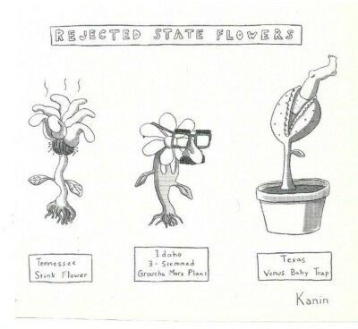 Rejected State Flowers | eBay