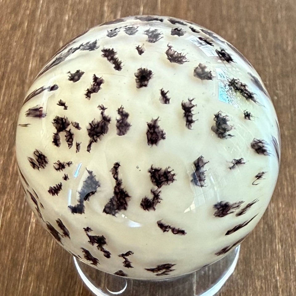 Mark Matthews Glass Marble 2017 Serval Cat Animal Skin Sphere ~1.36 ...