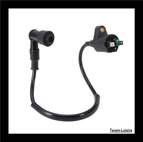 Ignition Coil Universal for Moped Winder Box 50 To 150 cm3 New | eBay