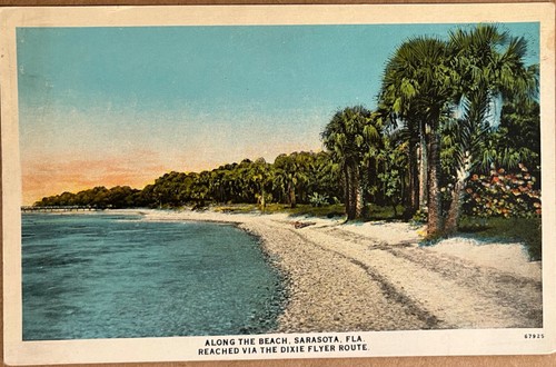 Sarasota Florida Dixie Flyer Train Advertisement Vintage Postcard c1920 ...