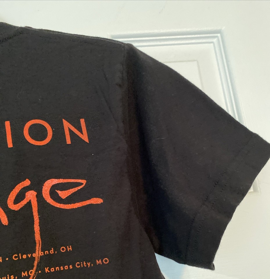 Celine Dion 2018 "Courage" Tour Black T-Shirt Fire In Background Size ...