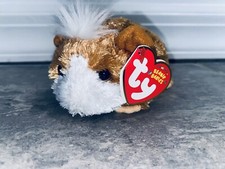 Fearless the Guinea Pig - Beanie Babies - Beaniepedia