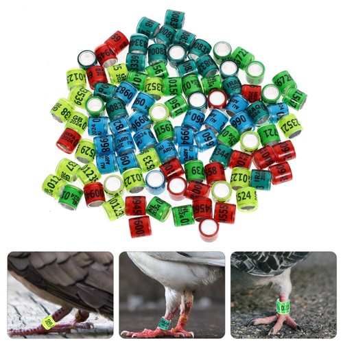 100 Pcs Parrot Leg Rings Chicken Identification Leg Bands Parrot Foot ...