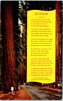 California Redwood Trees with Poem by Joseph B. Strauss Postcard c1965 ...