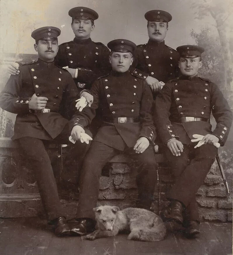 19th Rare Antique Beautiful Cabinet Photograph of Officers with Pet Dog ...