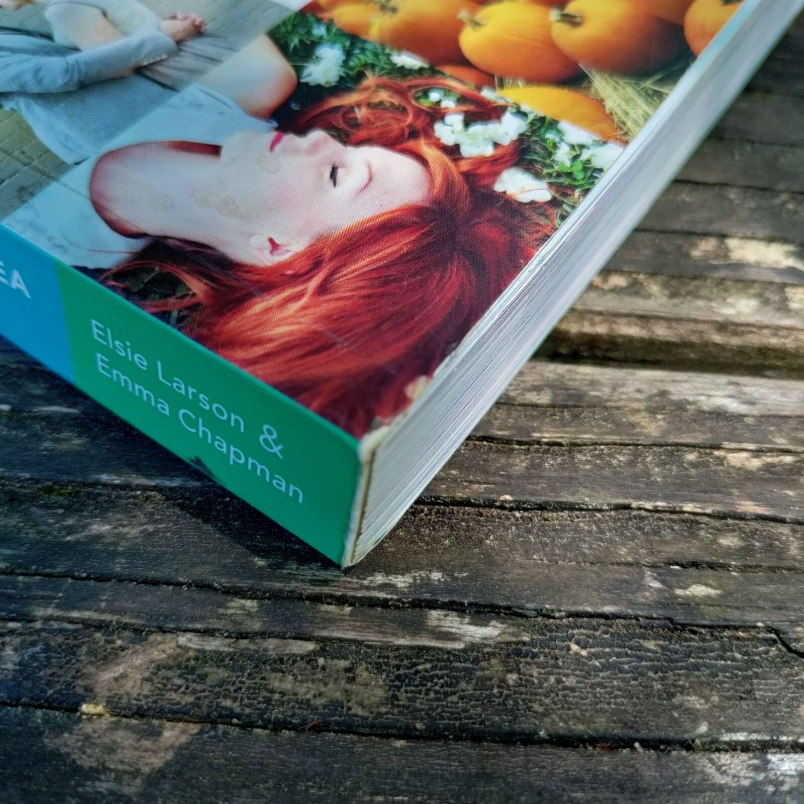 A Beautiful Mess Photo Idea Book paperback Elise Larson & Emma Chapman ...