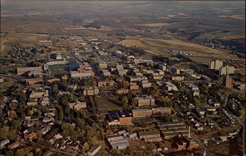 Washington State University Pullman Washington Aerial vintage postcard ...