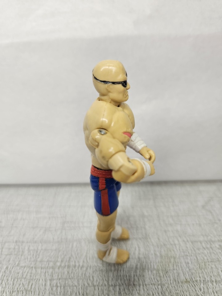 Hasbro 1993 G.I. Joe Street Fighter II Sagat V1 Action Figure 3.75 ...