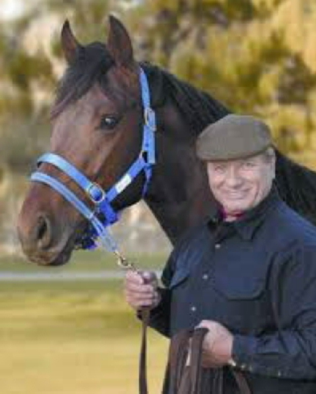 Monty Roberts Dually Halter Large Blue Nylon Headcollar with How to use ...