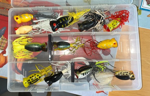 Lot Of 12 Arbogast Hula Poppers 2in In Case Var Colors | eBay