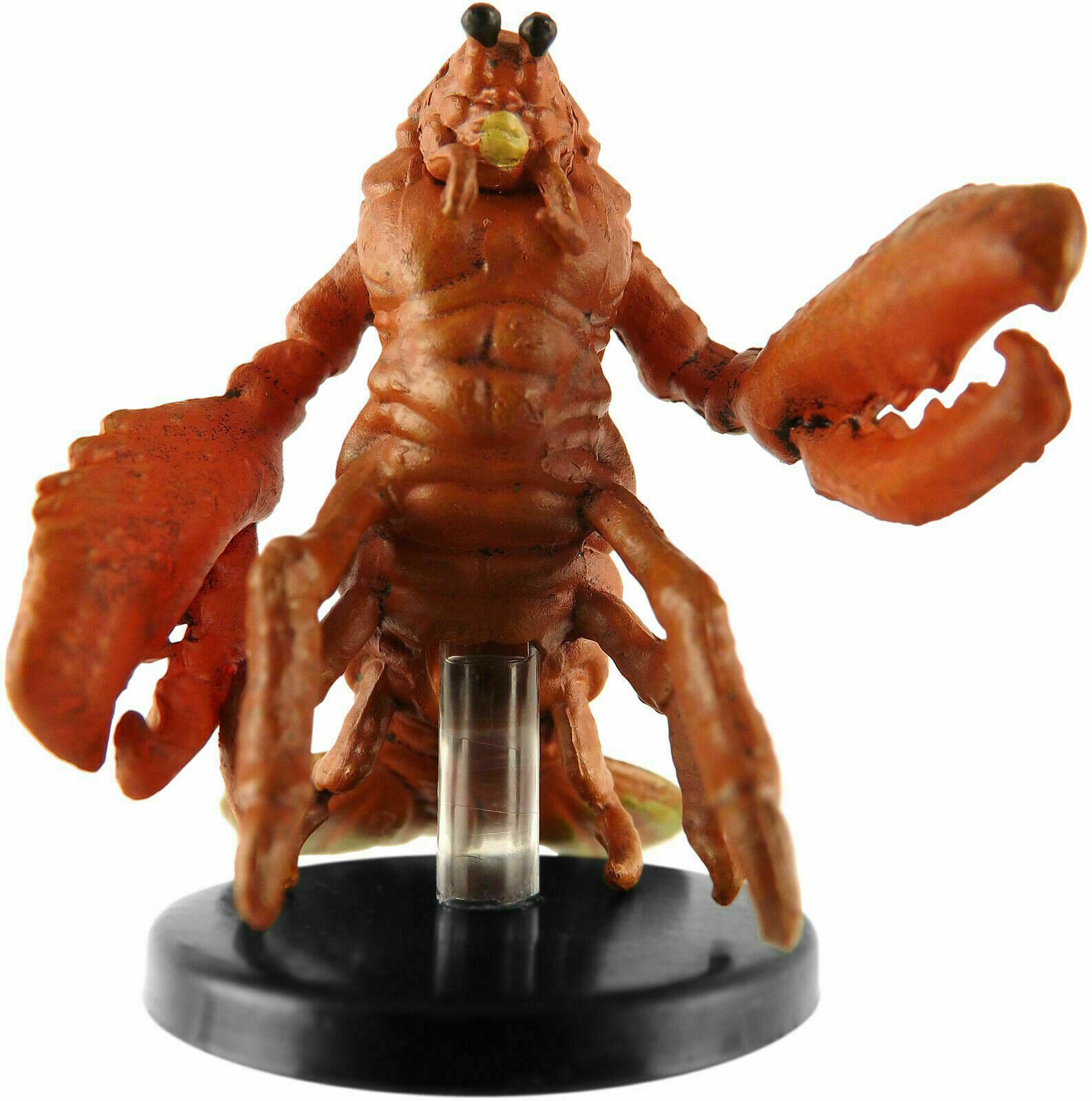 Aldani - Tomb of Annihilation - Miniature - Dungeons & Dragons - 13/45 ...