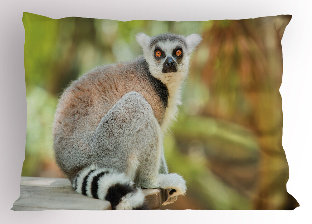 Lemur Pillow Sham Aperture Photo Mammal Animal | eBay UK