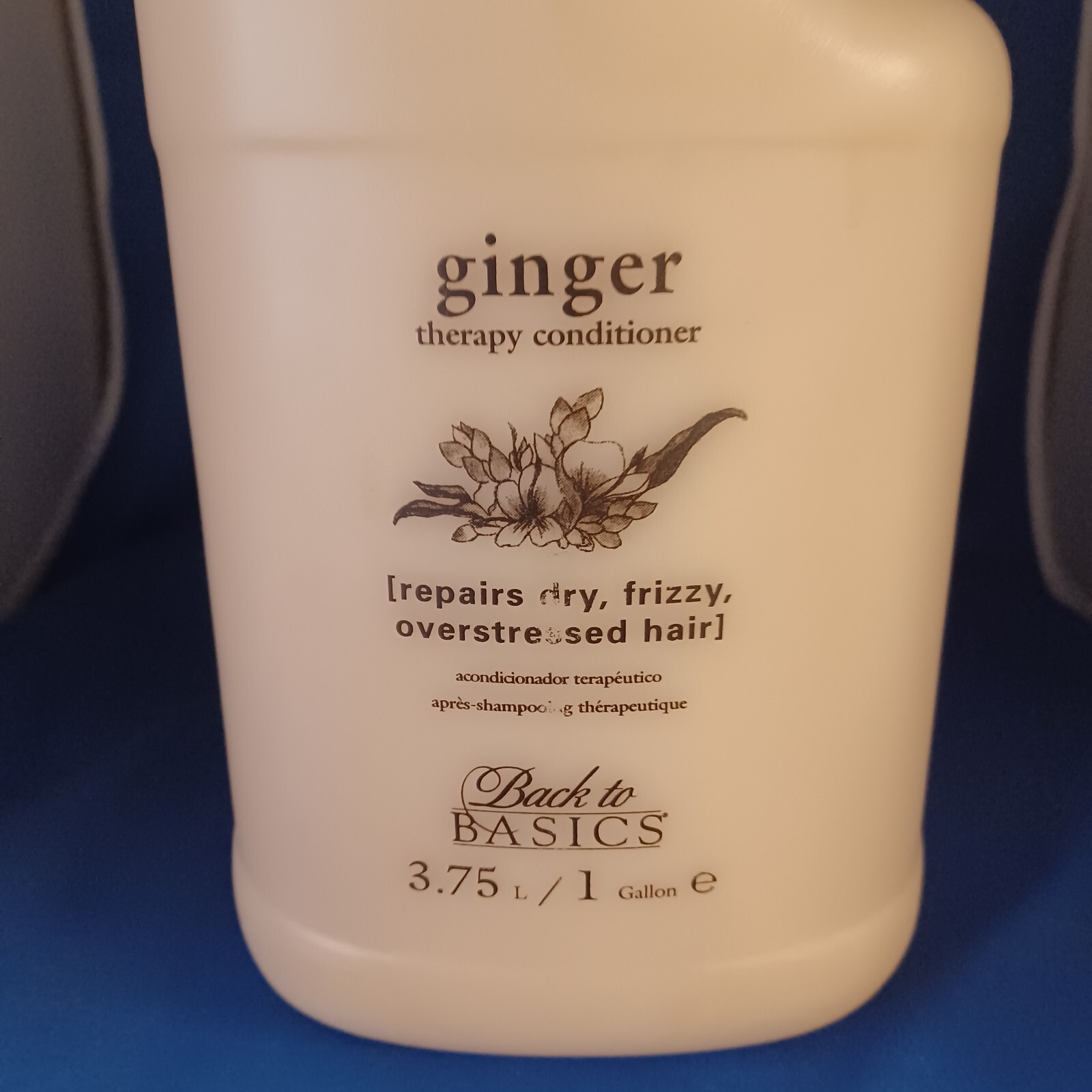 Back To Basics Ginger Therapy Conditioner 1-GALLON | eBay