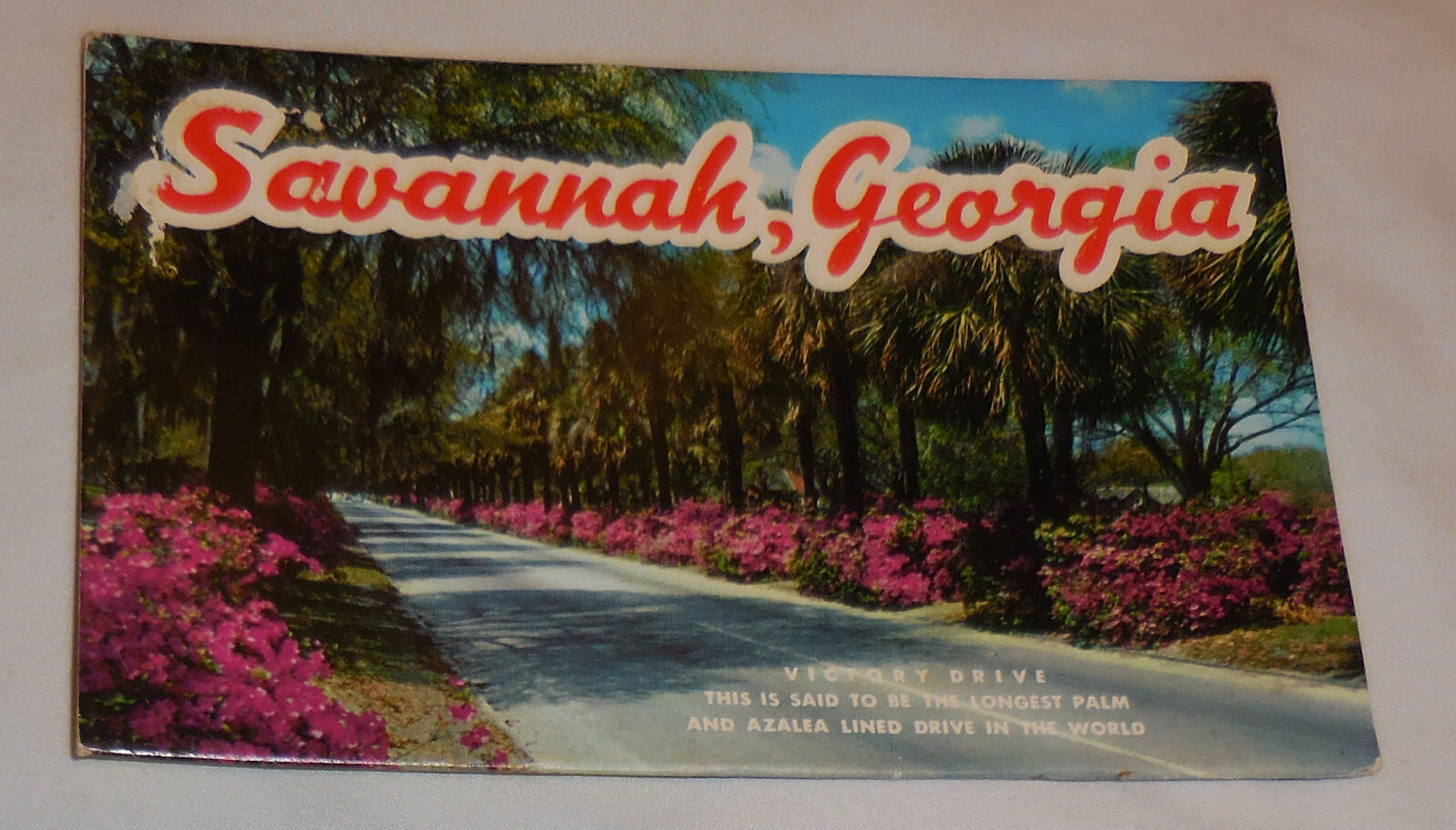 1 Savannah Georgia Victory Drive Azalea lined postcard folder | eBay