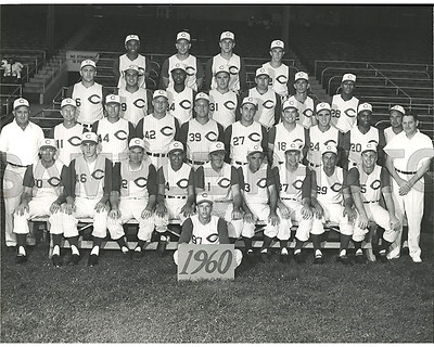 1960 CINCINNATI REDS BASEBALL 8X10 TEAM PHOTO | eBay