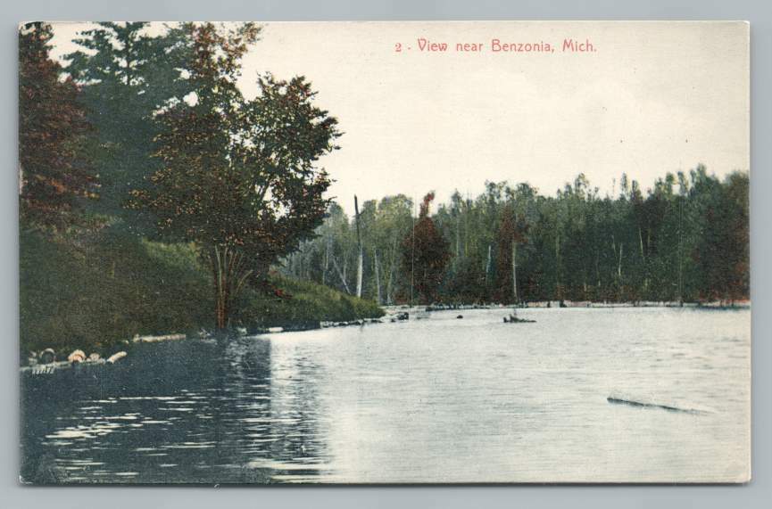 Betsie River View BENZONIA Michigan~Benzie County MI Antique Postcard ...