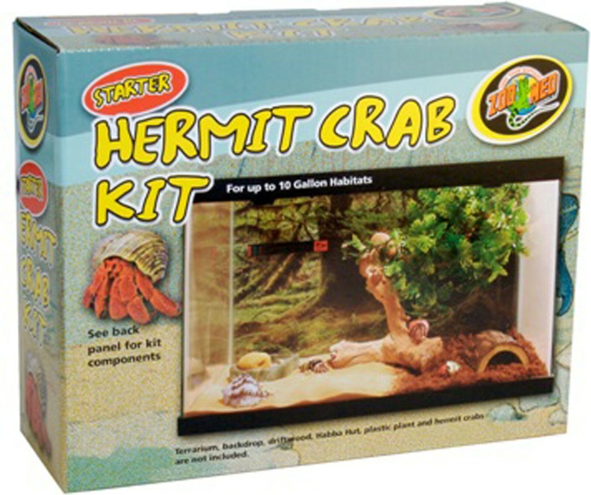 Cool Hermit Crab Cages 7 Reasons Why You Should Never Buy A Hermit