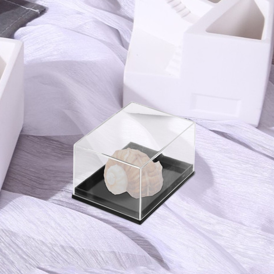 4 Pcs Transparent Box Specimen Child Miss Container Display Case for ...