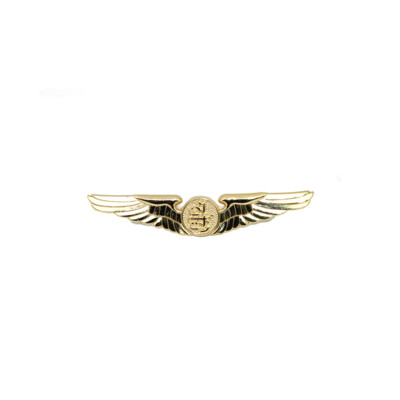 WING PIN EMIRATES AIRLINES EK Dubai Wings | eBay