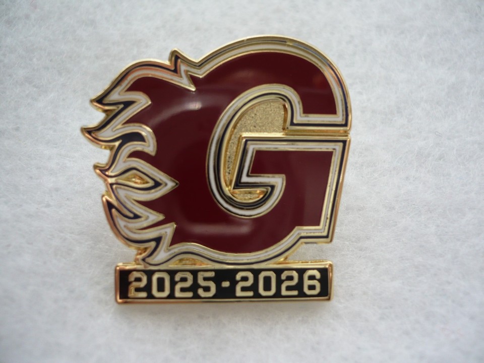 GUILDFORD FLAMES 2025-2026 ICE HOCKEY CLUB PIN/BADGE . | eBay UK