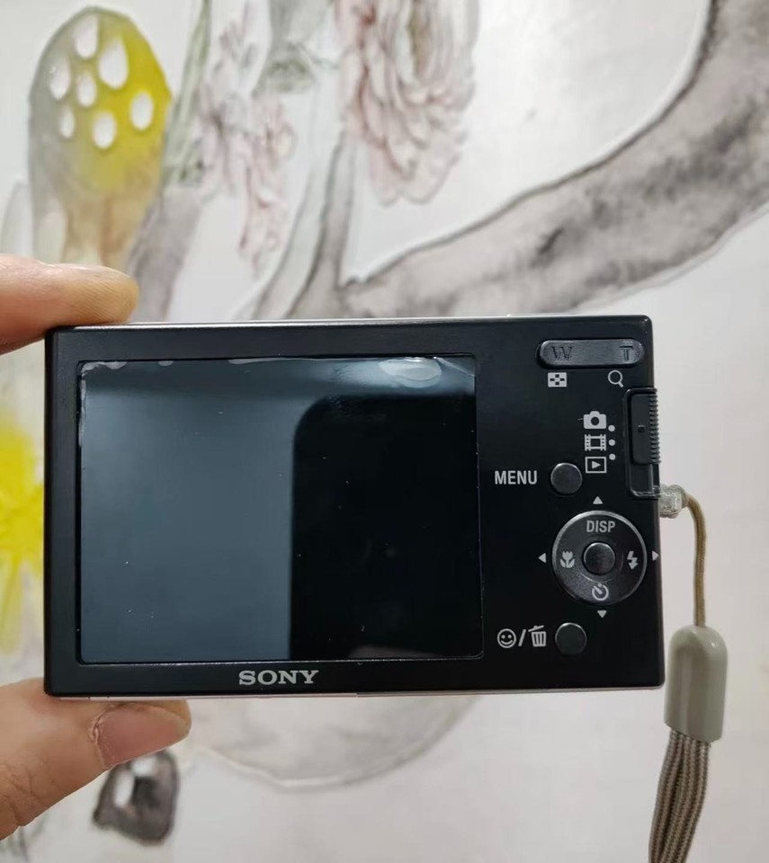Sony Cyber shot DSC W180 Digital 10.1 MP 3x Optical Zoom Includes Video ...
