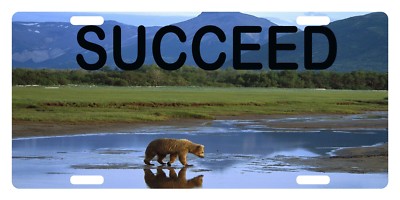 BEAR Custom License Plate SUCCEED Version | eBay