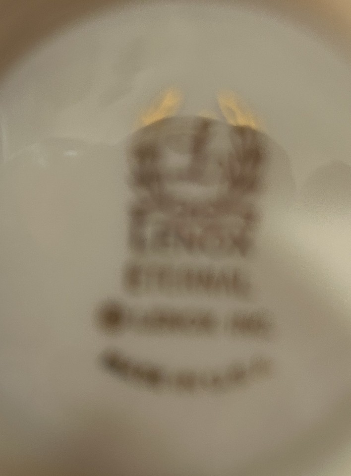 Lenox "Eternal" 1 St. Quality 5 Piece Place Setting | eBay