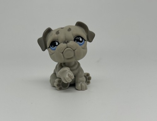 LPS Gray BULLDOG DOG #508 Teardrop Authentic Littlest Pet Shop - Hasbro ...