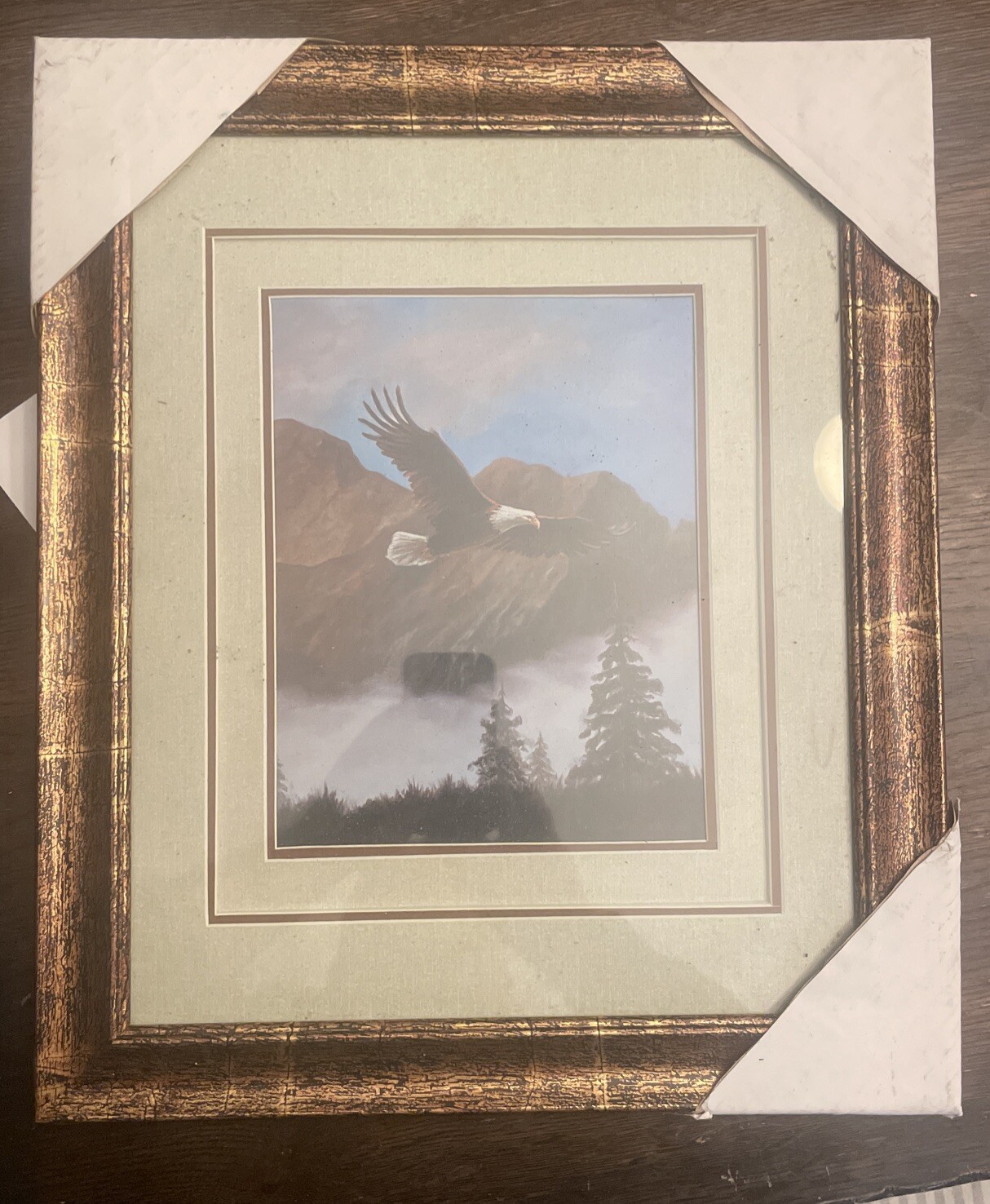 EAGLE FLYING MOUNTAIN FORREST WALL ART 17”X 14.5" (WBP008148) | eBay