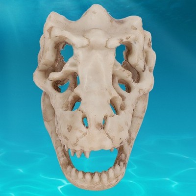 Skull Shape Aquarium Decor Landscape Design Dinosaur Skull Ornament ...