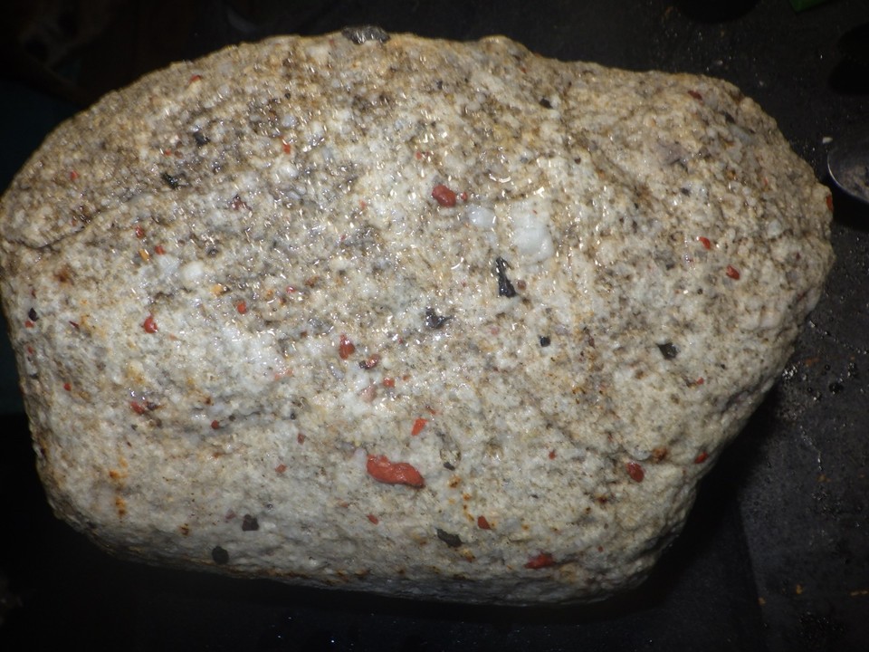 Michigan Pudding Stone 16 Pounds | eBay