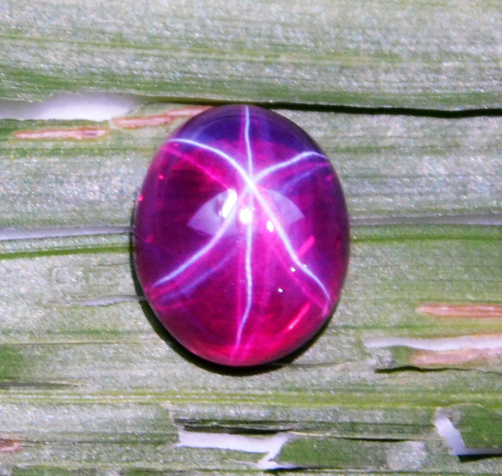 17.15 Ct Natural Red Star Ruby Cabochon Cut CERTIFIED Loose Gemstone 6 ...