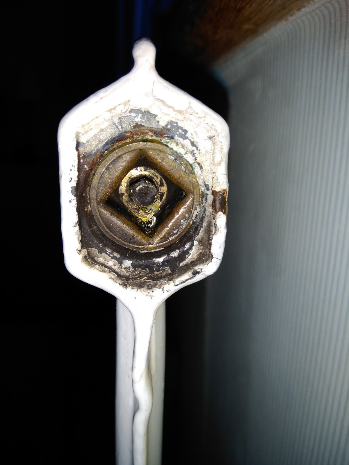 Radiator BRASS BLEED SCREW AIR / VALVE VENT - TYPE 4 - FITS STEEL AND ...