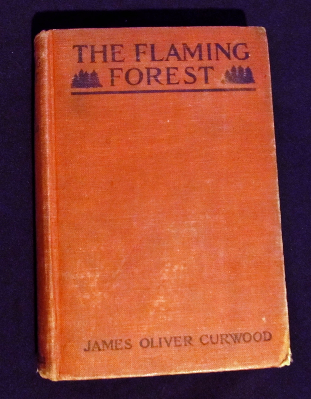 The Flaming Forest ~ James Oliver Curwood ~ 1921 ~ Cosmopolitan Book ...