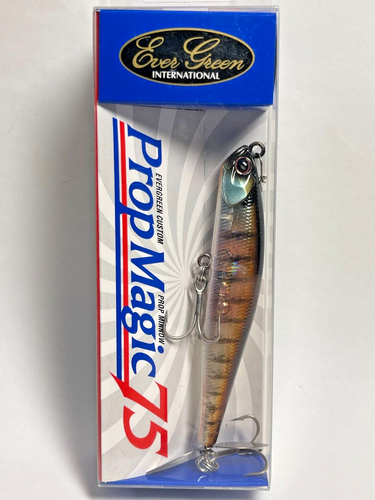 11581) Ever green Prop Magic 75S #246 Chigill 4533625061416| eBay