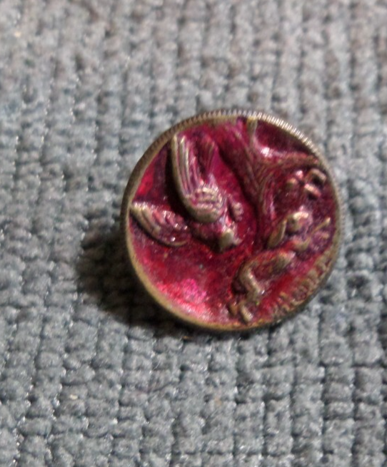 Antique Vintage Metal Picture Tint Button BIRD HUNTING RABBIT | eBay