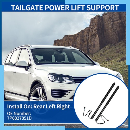 Pack of (2) Rear Lift Gate Struts with Power Liftgate for Volkswagen ...