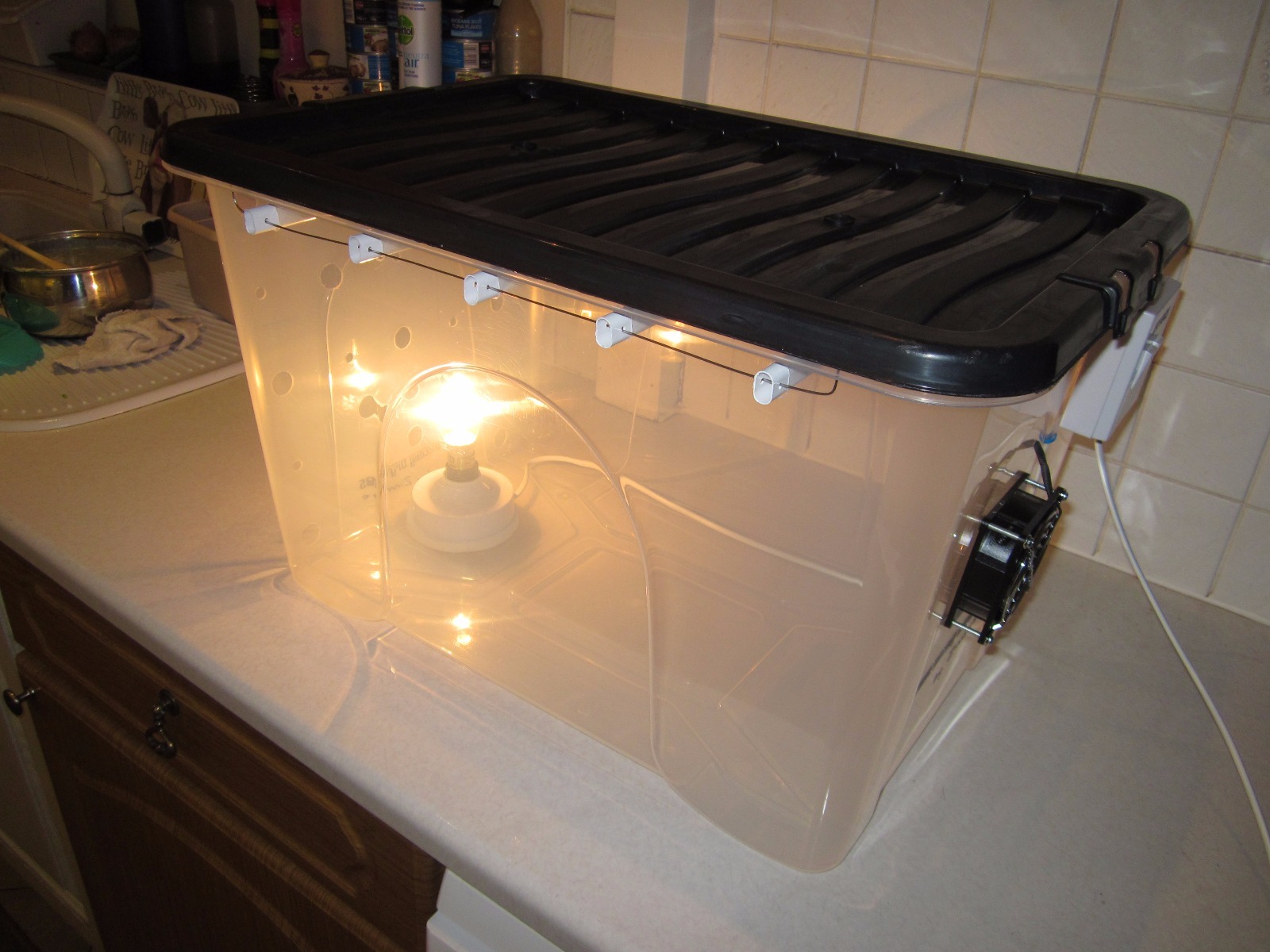 100 x PLASTIC Biltong Hooks, Hygienic for hanging Biltong / Droewors ...