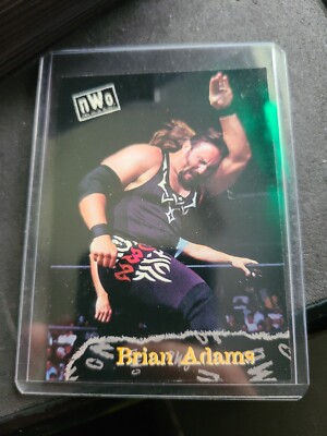 1998 Topps WCW/nWo - #55 Brian Adams | eBay