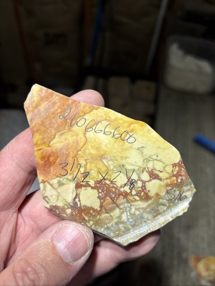 Dead Camel Jasper - Nevada 3 1/2” X 2 1/8 Jasper Lapidary Rough Slab ...